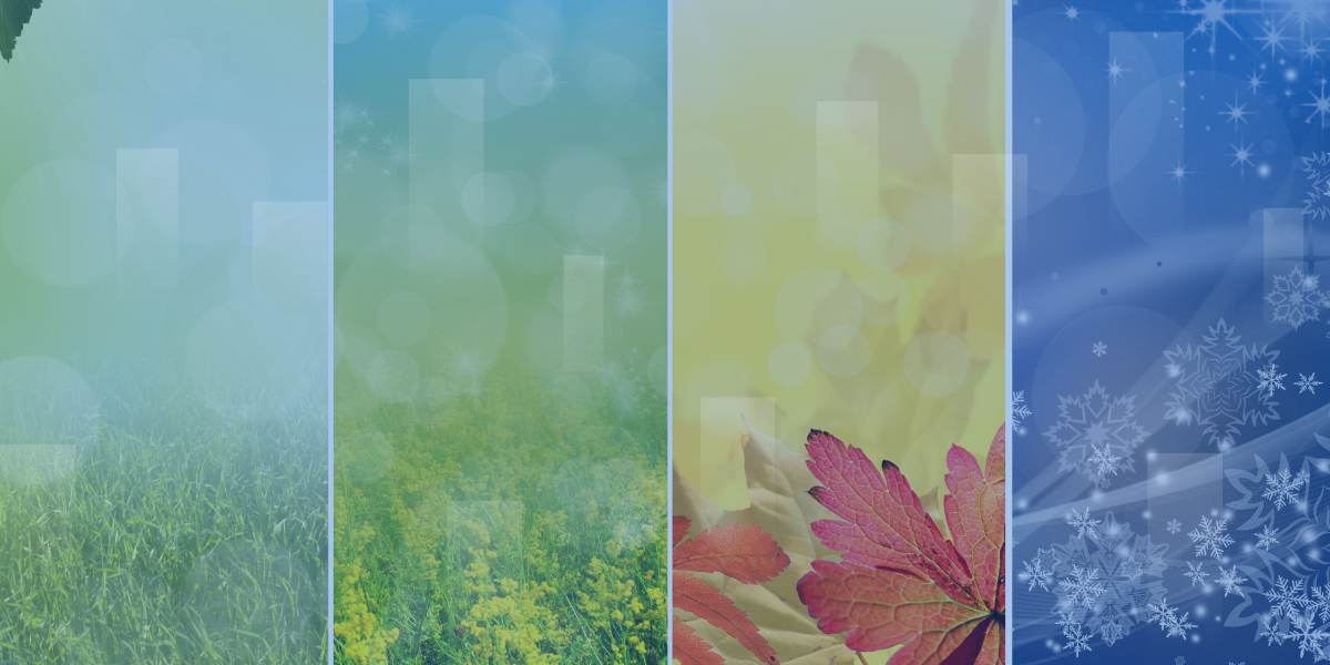 Como lidar com a Sazonalidade? - Blog Bluesoft ERP